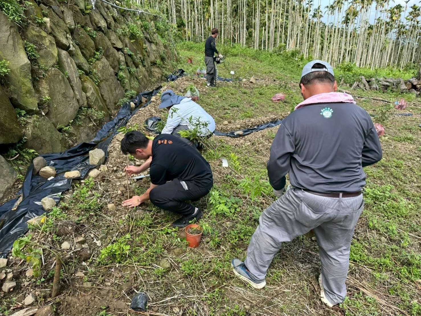 低光害、乾淨水源 雲林縣再添大湖底賞螢棲地 - 客新聞 HakkaNews