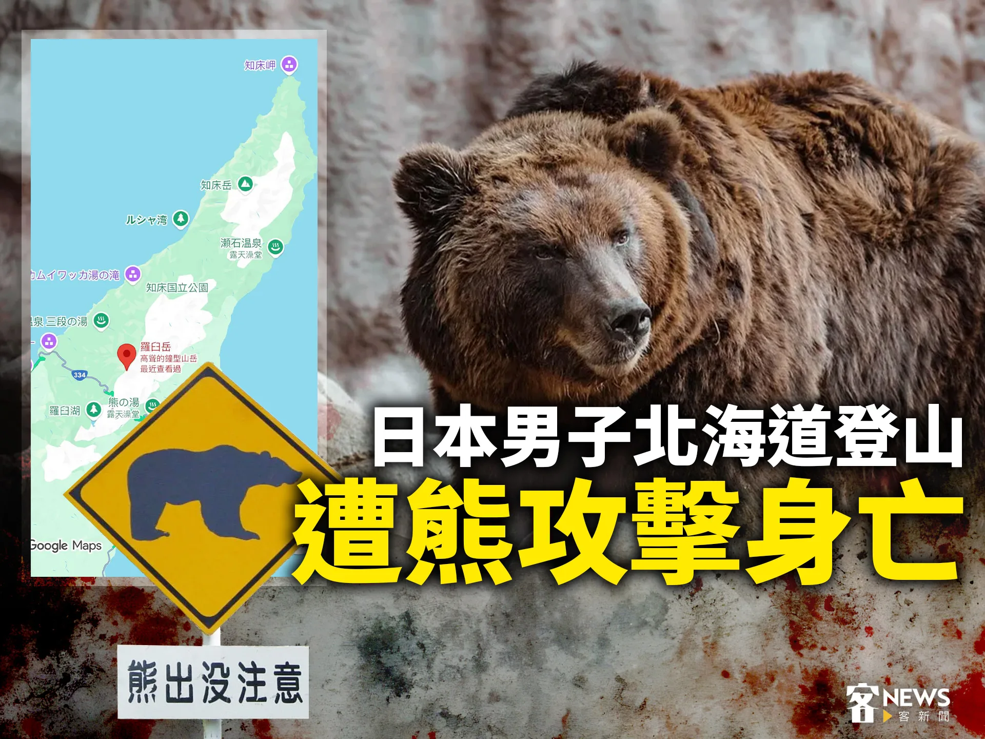 日本男子北海道登山 遭熊攻擊身亡 - 客新聞 HakkaNews
