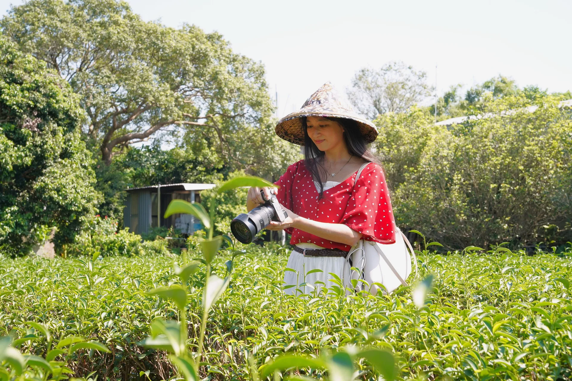 新竹森林系農遊開始報名 「逐風趣」 - 客新聞 HakkaNews