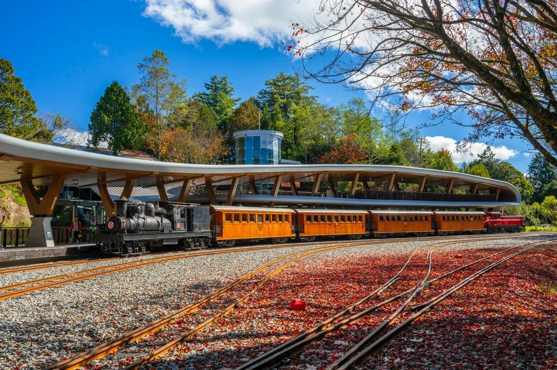 蒸汽火車掛檜木車廂 阿里山林鐵推5梯次限量賞楓行程 - 客新聞 HakkaNews