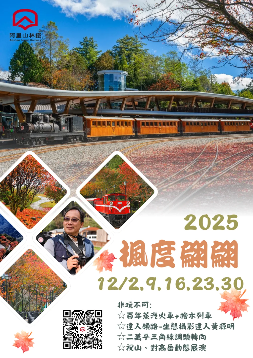 蒸汽火車掛檜木車廂 阿里山林鐵推5梯次限量賞楓行程 - 客新聞 HakkaNews