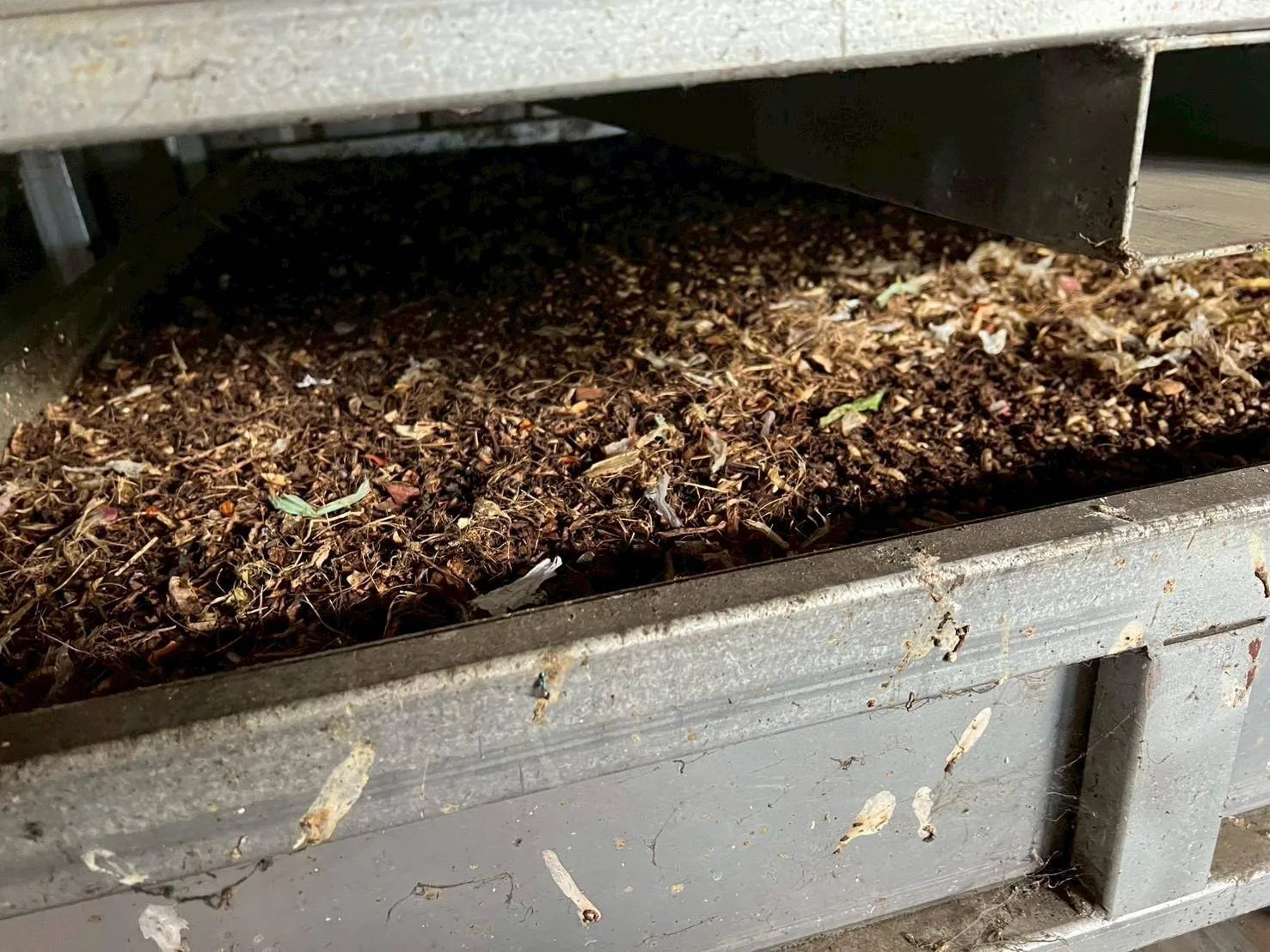 竹縣暫停收家戶廚餘 瀝乾併入一般垃圾處理 - 客新聞 HakkaNews