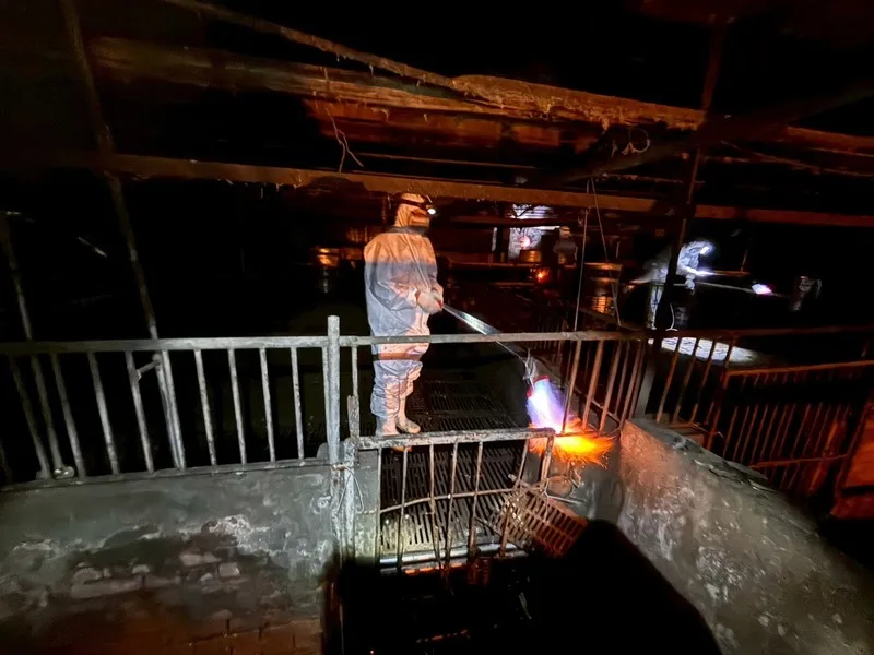 非洲豬瘟／化製單疑遭塗改 中檢調查有無偽造文書 - 客新聞 HakkaNews