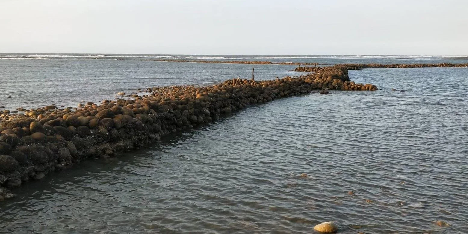 交通部劃定「新竹縣海岸風景特定區」 新豐濕地、新月沙灣入列 - 客新聞 HakkaNews