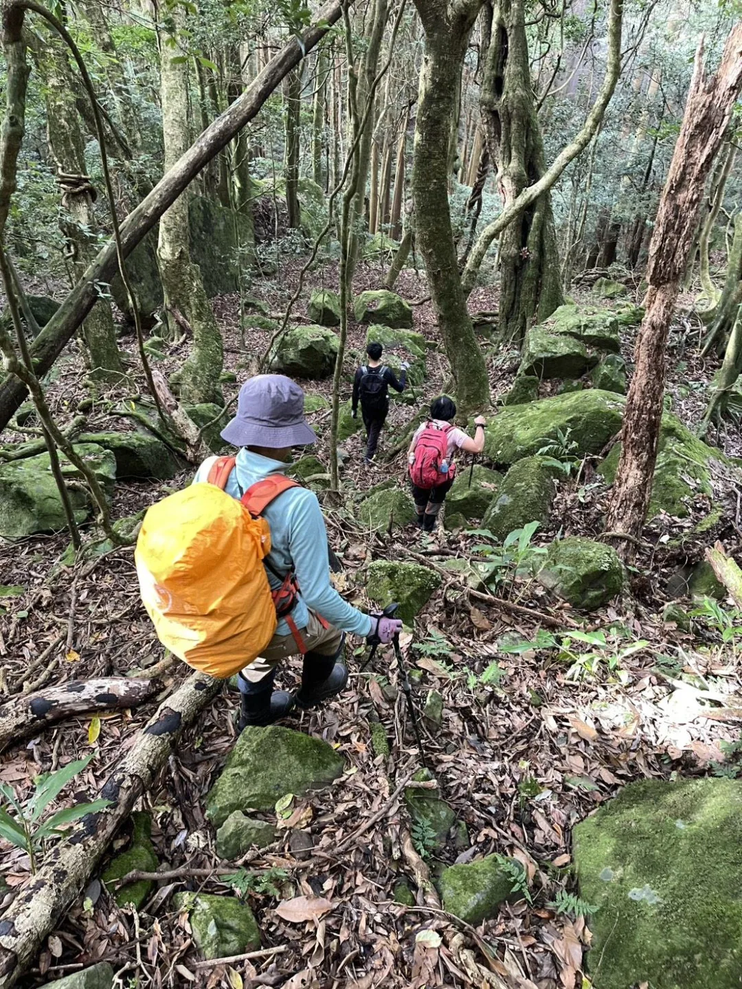 救援事件頻傳 籲山友牢記「登山5招」 - 客新聞 HakkaNews