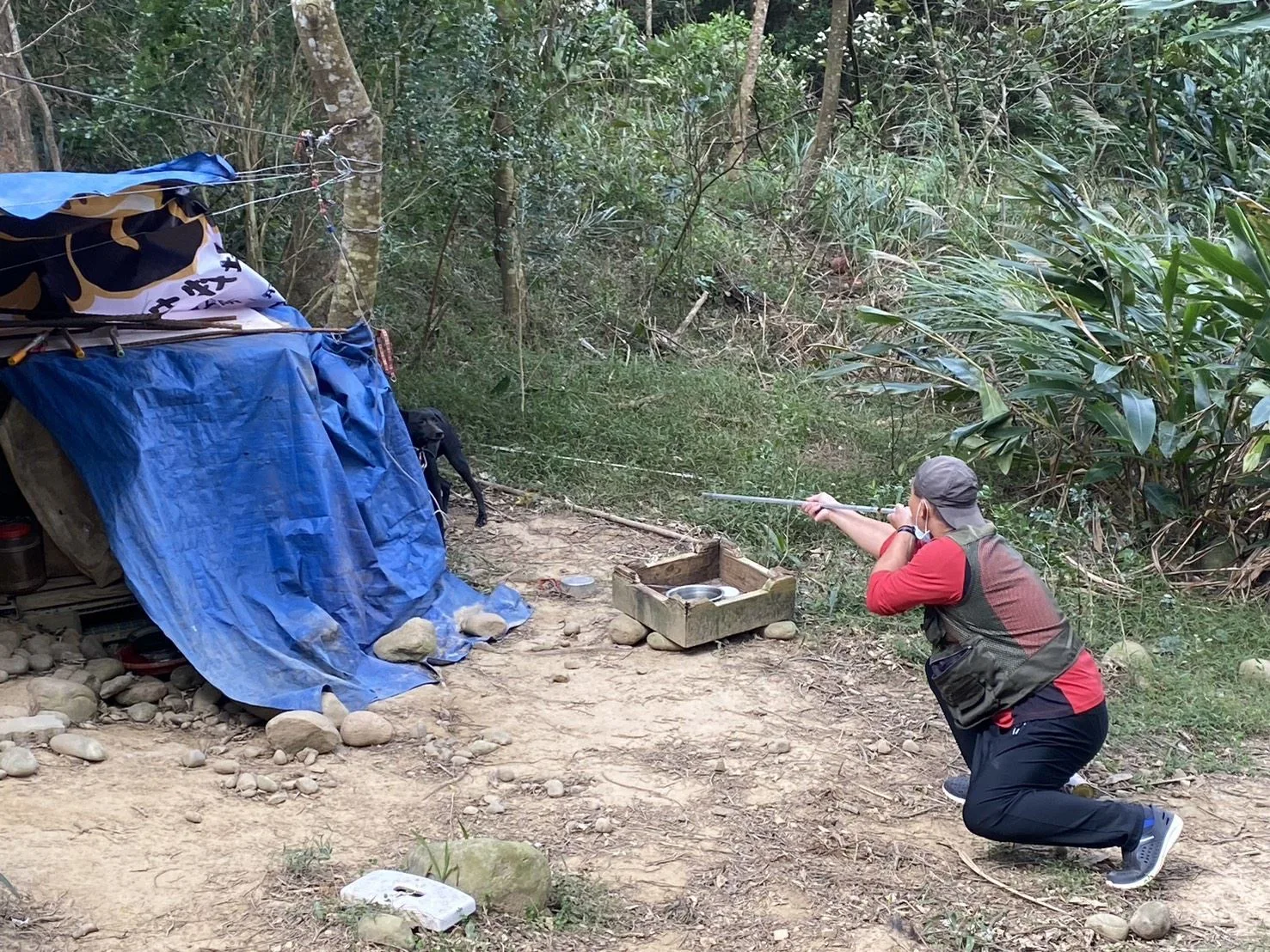 通霄現首起鼬獾染狂犬病案例 犬隻加強注射疫苗 - 客新聞 HakkaNews