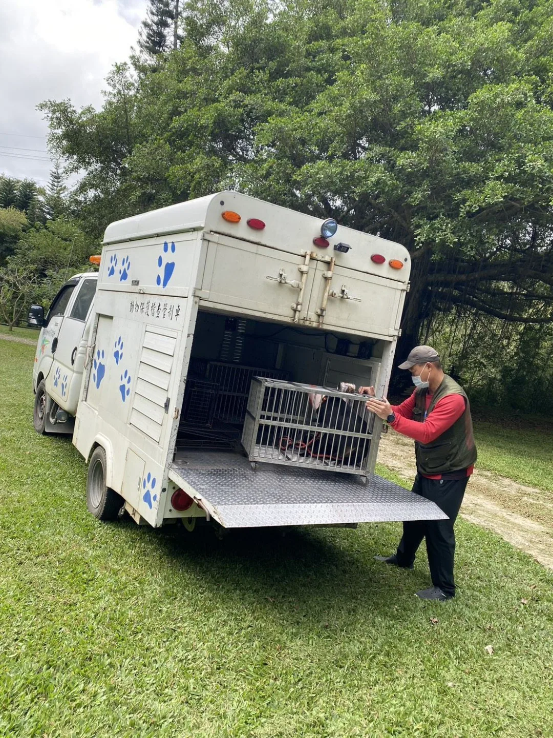 通霄現首起鼬獾染狂犬病案例 犬隻加強注射疫苗 - 客新聞 HakkaNews