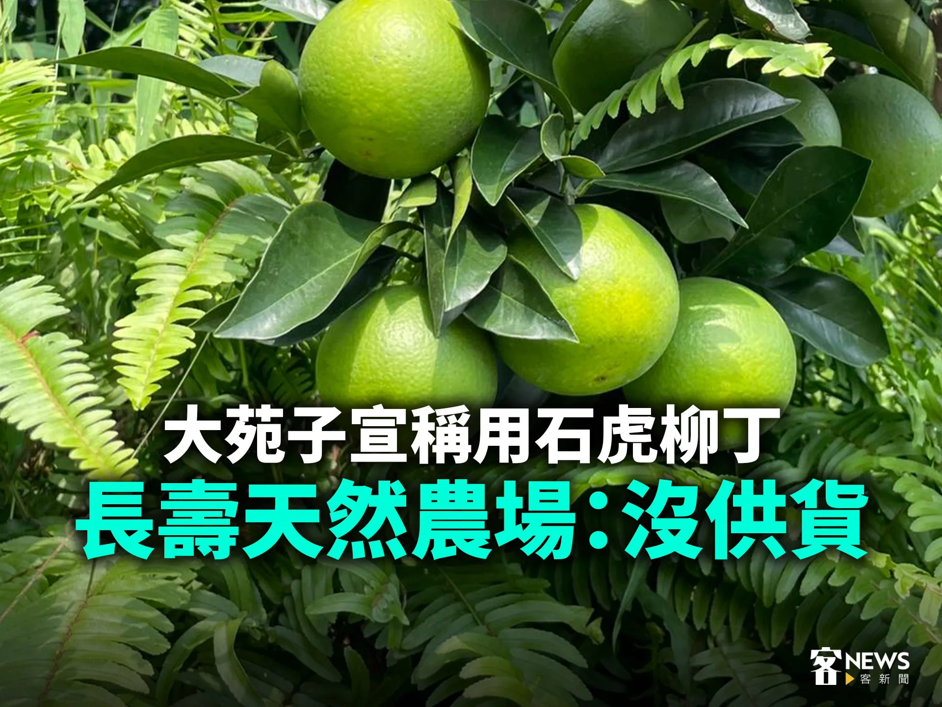 大苑子宣稱用石虎柳丁 長壽天然農場：沒供貨 - 客新聞 HakkaNews
