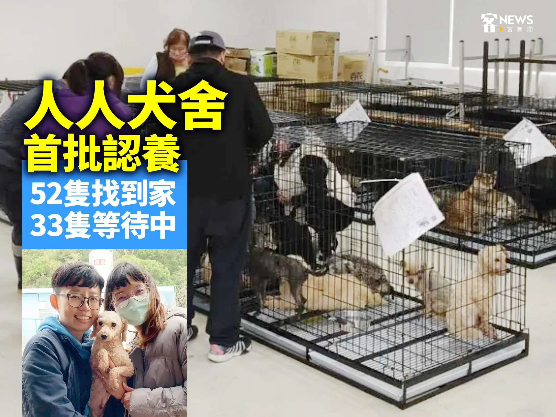 「人人犬舍」首批認養 52隻找到家、33隻等待中 - 客新聞 HakkaNews