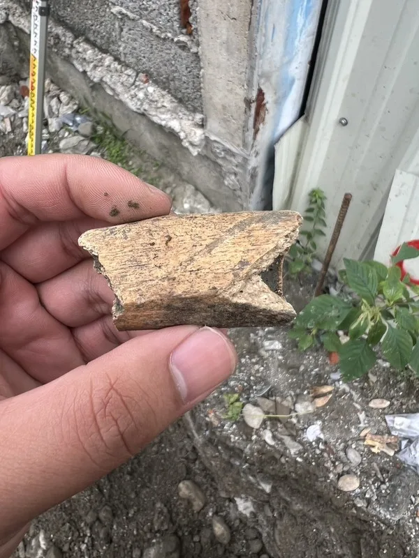 花蓮吉安住宅挖出疑似人骨及史前陶片 文化局初判靜浦文化 - 客新聞 HakkaNews