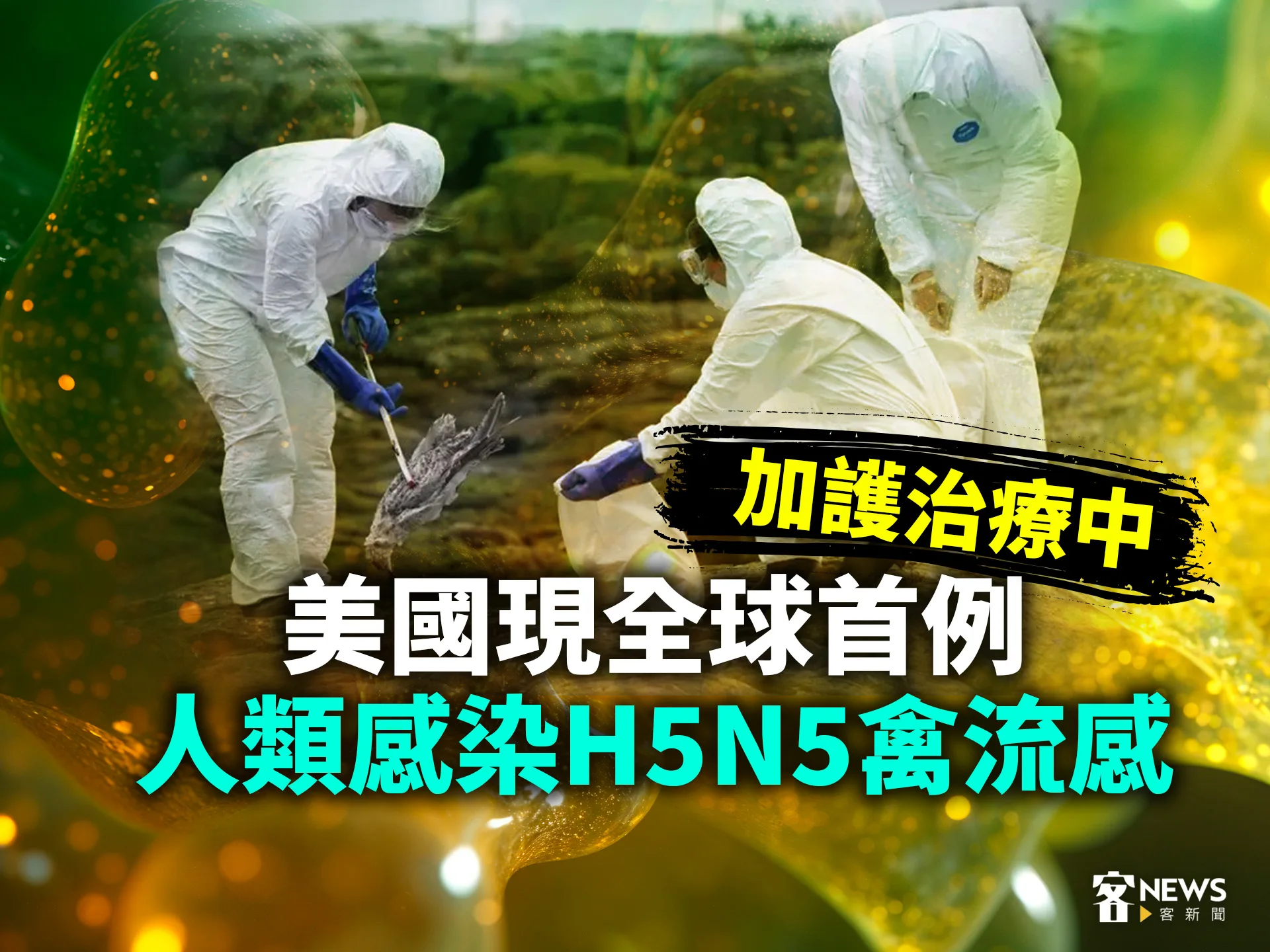 美國現全球首例人類感染H5N5禽流感 加護治療中 - 客新聞 HakkaNews
