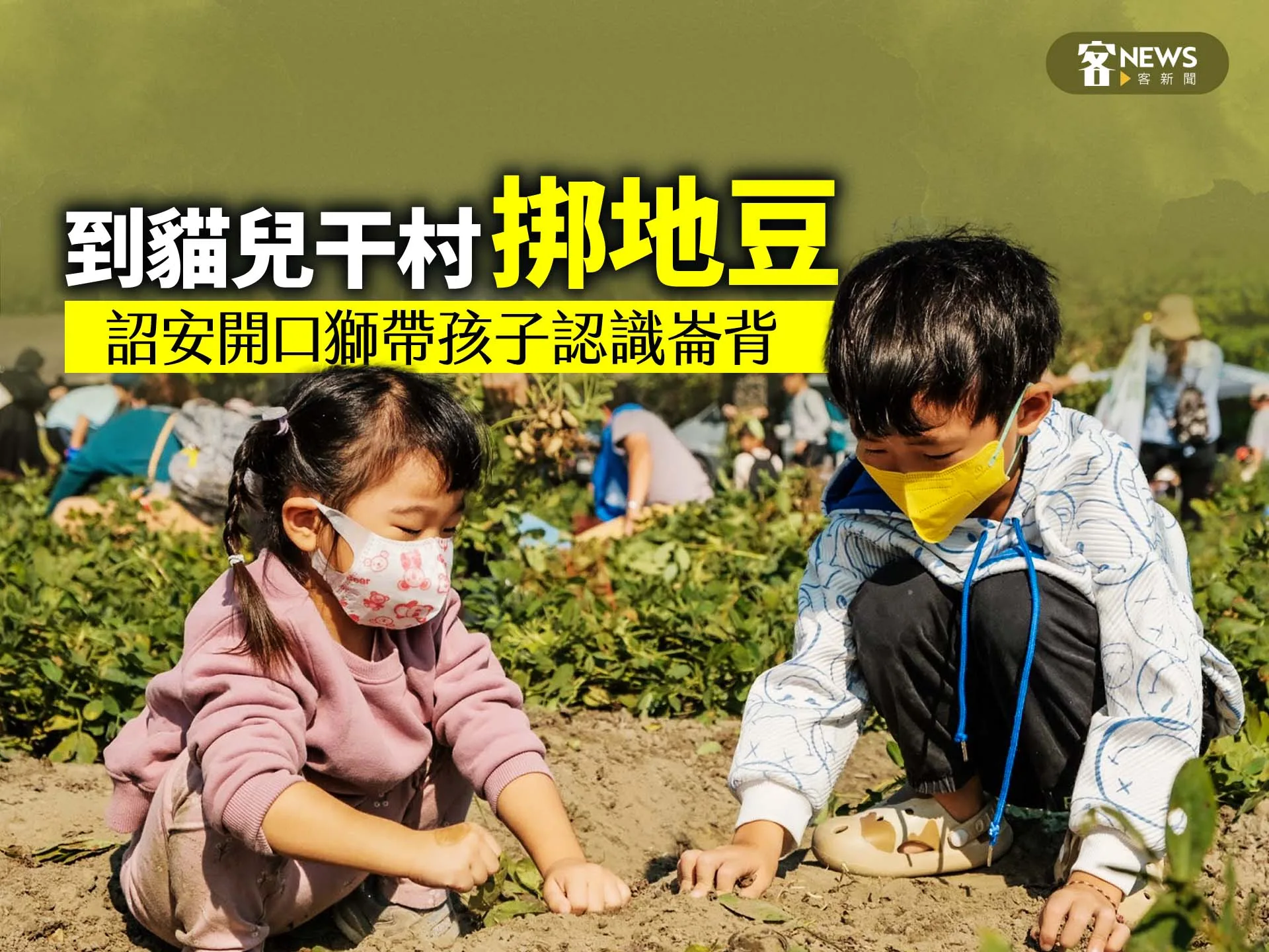 到貓兒干村「挷地豆」 詔安開口獅帶孩子認識崙背 - 客新聞 HakkaNews