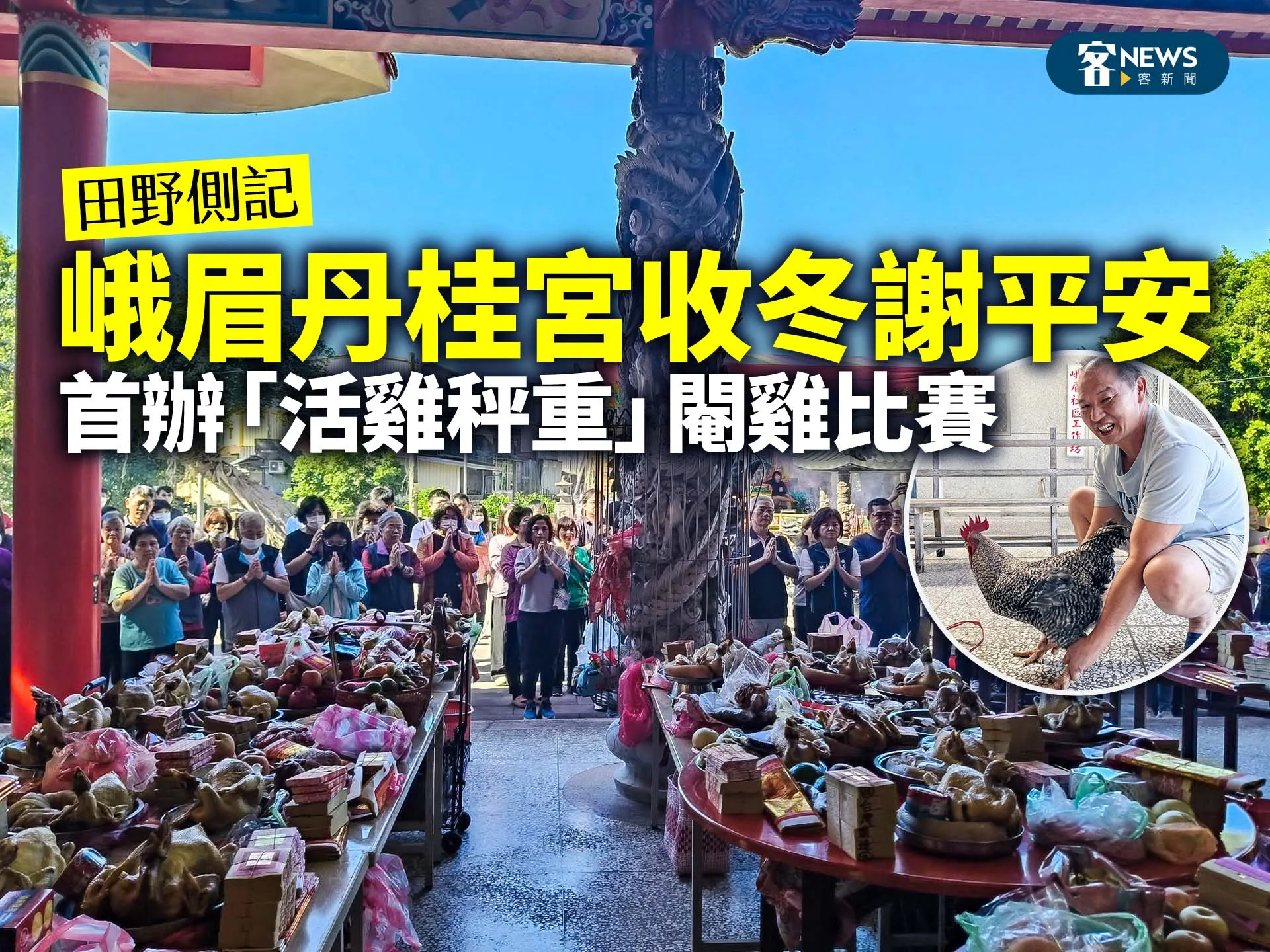 田野側記｜峨眉丹桂宮收冬謝平安 首辦「活雞秤重」閹雞比賽 - 客新聞 HakkaNews