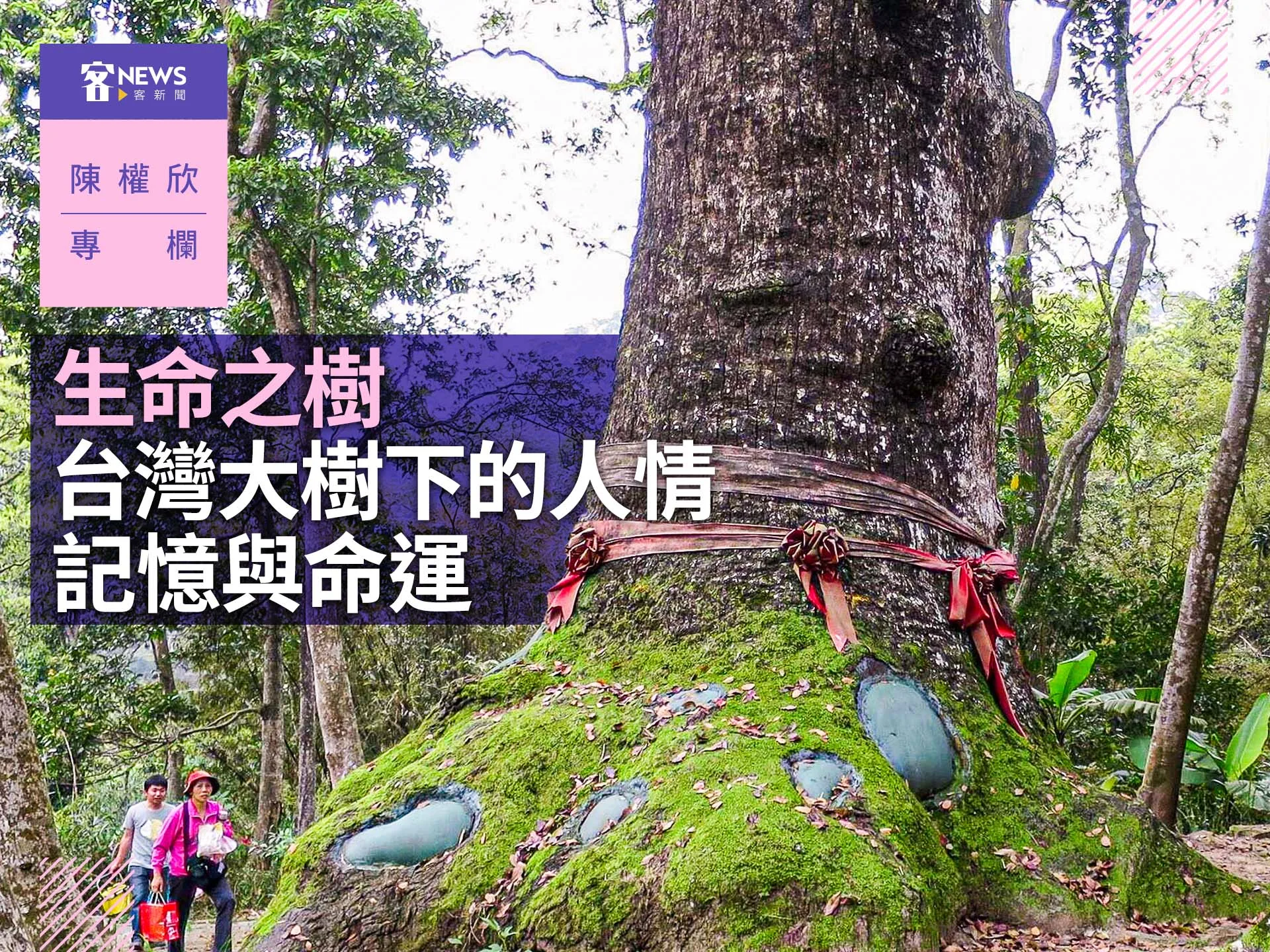 陳權欣專欄／生命之樹 台灣大樹下的人情、記憶與命運 - 客新聞 HakkaNews