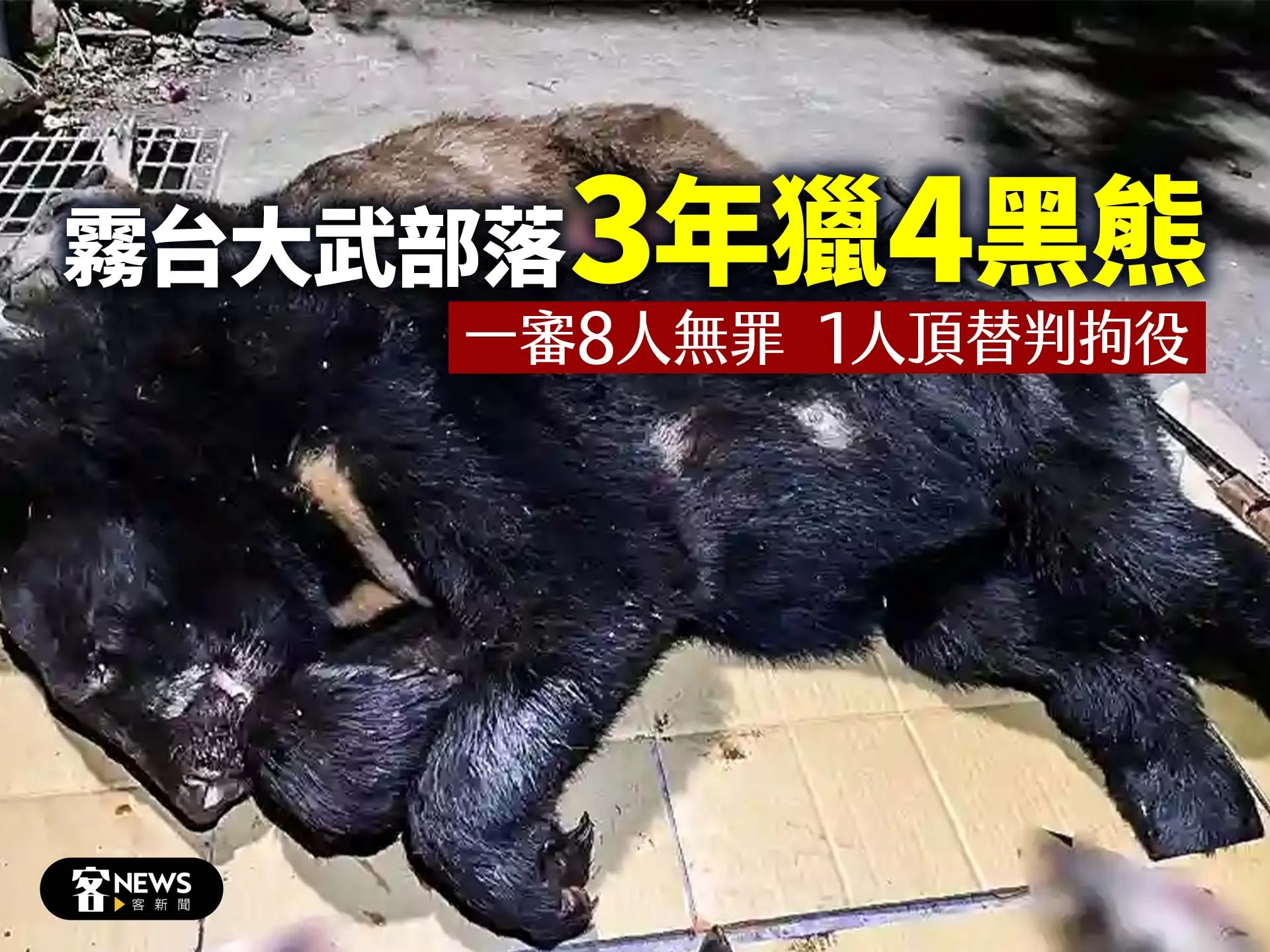 霧台大武部落3年獵4黑熊 一審8人無罪、1人頂替判拘役 - 客新聞 HakkaNews