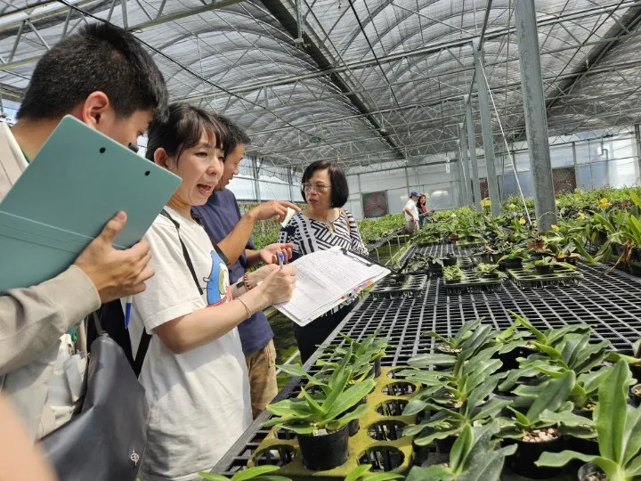 列瀕危植物「仙履蘭」 每枝都有身分證、台灣人工培植成長 - 客新聞 HakkaNews